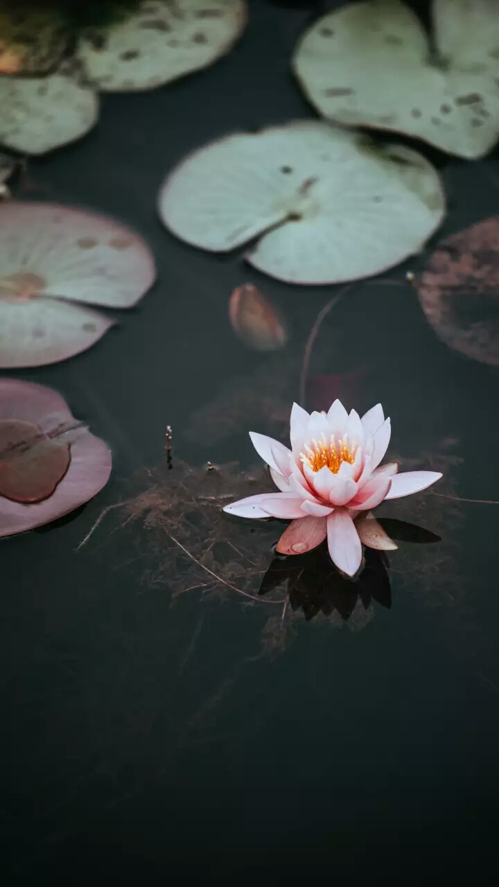 Contact | Grav Editorial